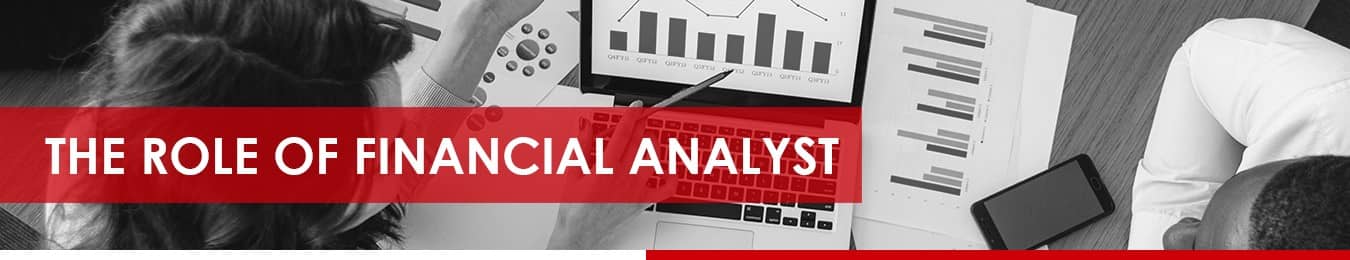 The Role of Financial Analyst: Responsibilities and Skill Sets